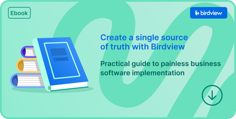 Practical Guide to Painless Business Software Implementations ... Practical Guide to Painless Business Software Implementations ...