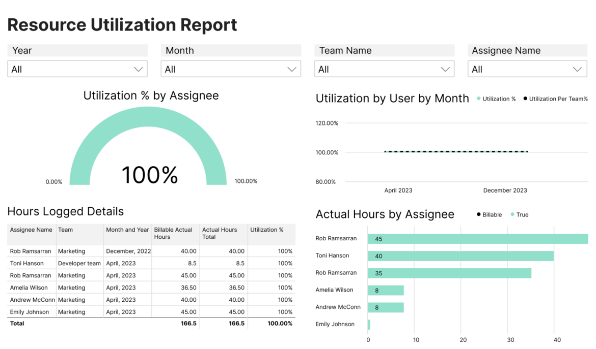 10 Essential Resource Planning Reports Birdview Psa