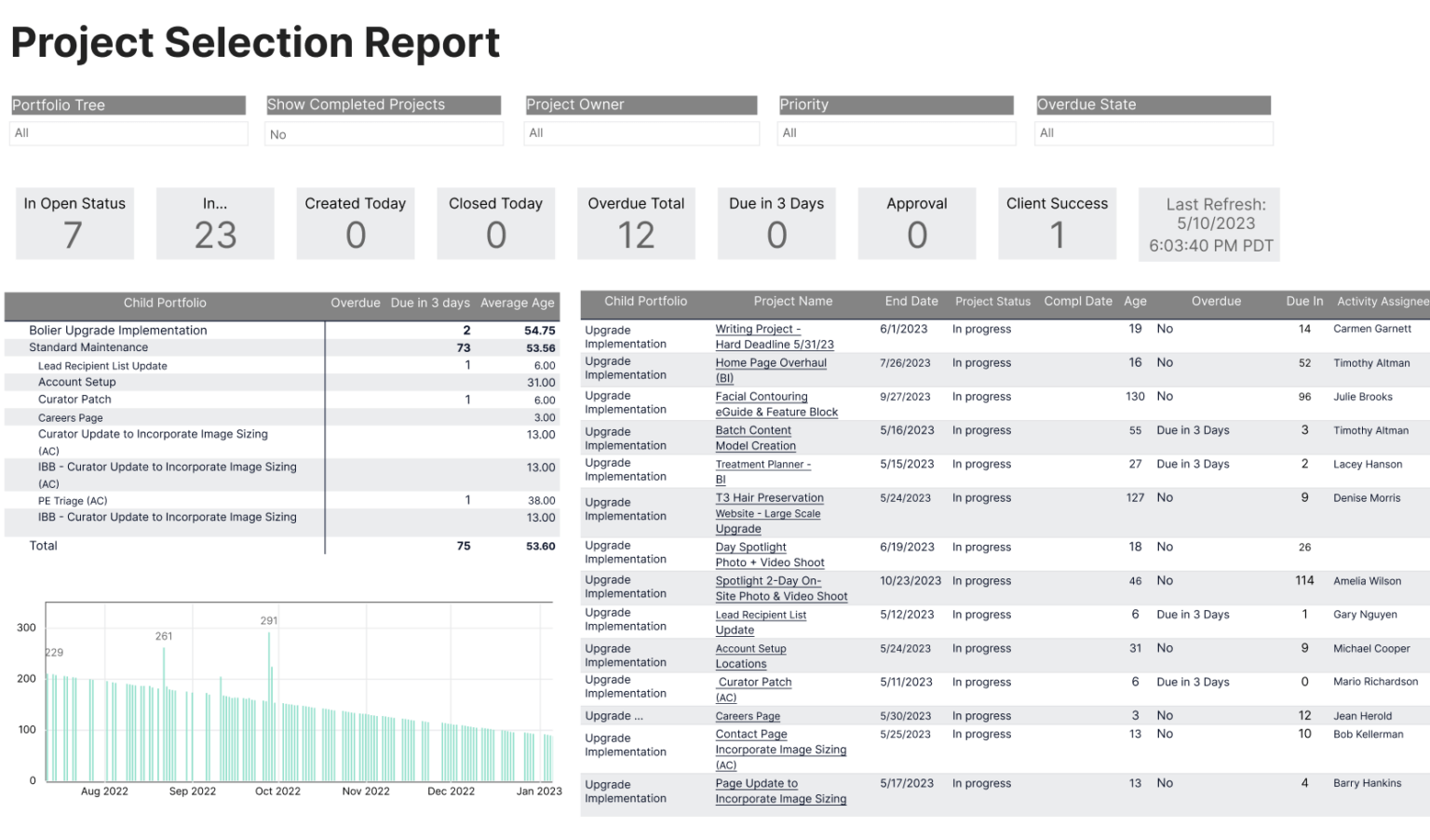 10+ Essential Project Management Reports | Birdview PSA