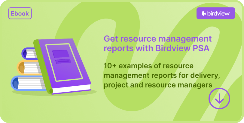 10+ Examples of Resource Management Reports for Delivery, Project and ...